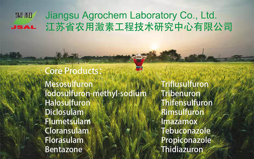 AgroChemEx online show